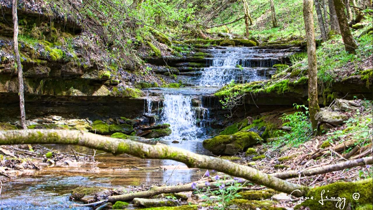 Central Kentucky Spring Part 1 - YouTube