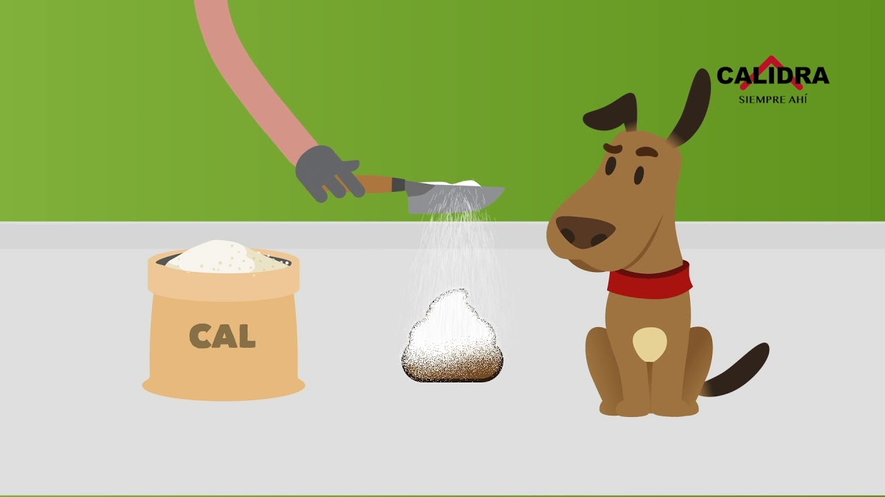 Usa Cal Calidra como neutralizante de malos olores. - YouTube