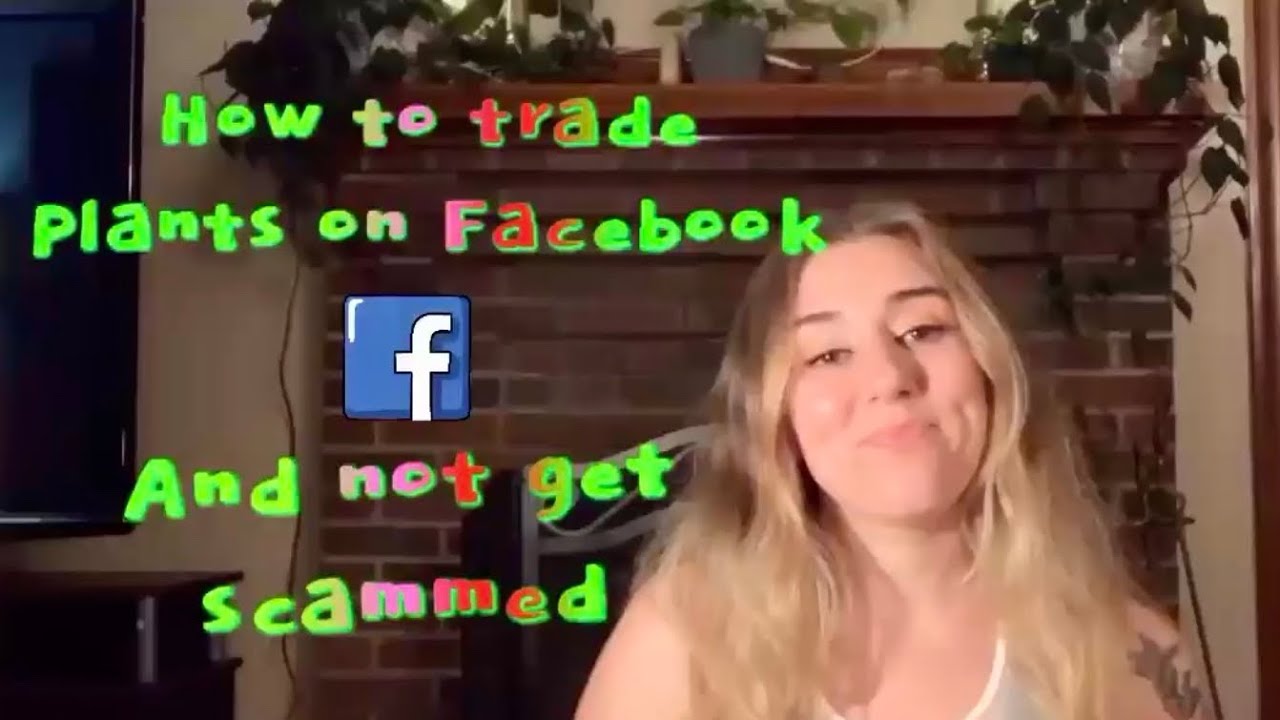 How to Trade Plants on Facebook and Not Get Scammed! - YouTube