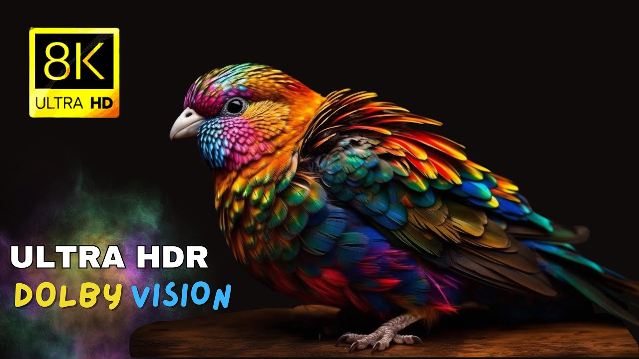 COLORFUL MACEW PARROTS -- 8K (60FPS) ULTRA HD -- REAL NATURE SOUND ...