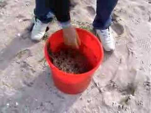 Fishing TURBOT kalkan avı karadeniz - YouTube