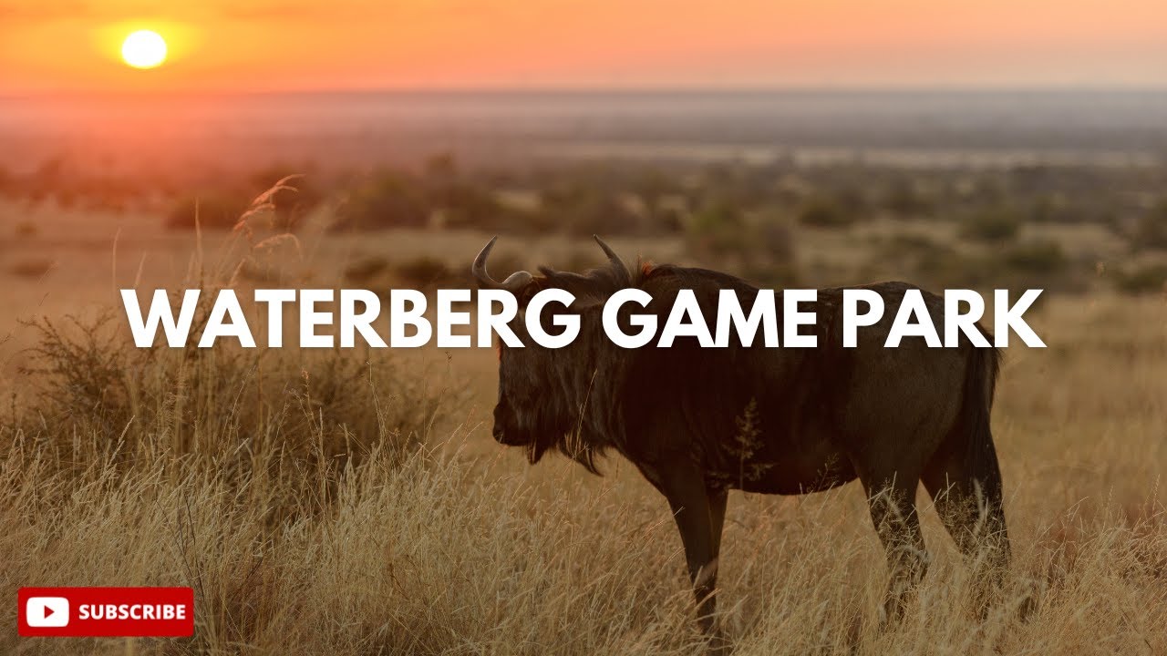 Experience Waterberg Game Park in 30 seconds - YouTube