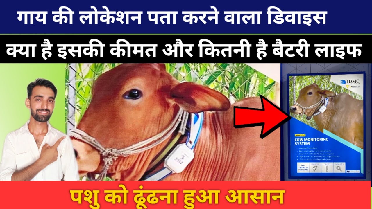 गाय की लोकेशन पता करने वाला डिवाइस 🐄 Cow ki location pata karne ka ...