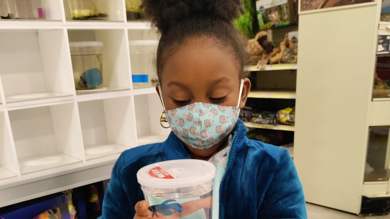 Nevaeh Returns From Florida and Gets A New Pet - YouTube