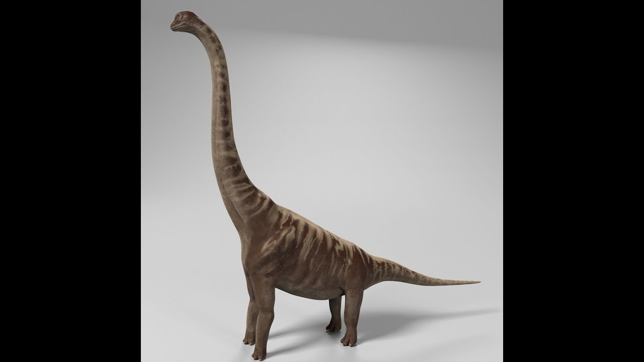 Supersaurus Learning #dinosaur - YouTube