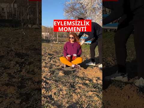 Eylemsizlik momenti gösterimi 15 saniyede