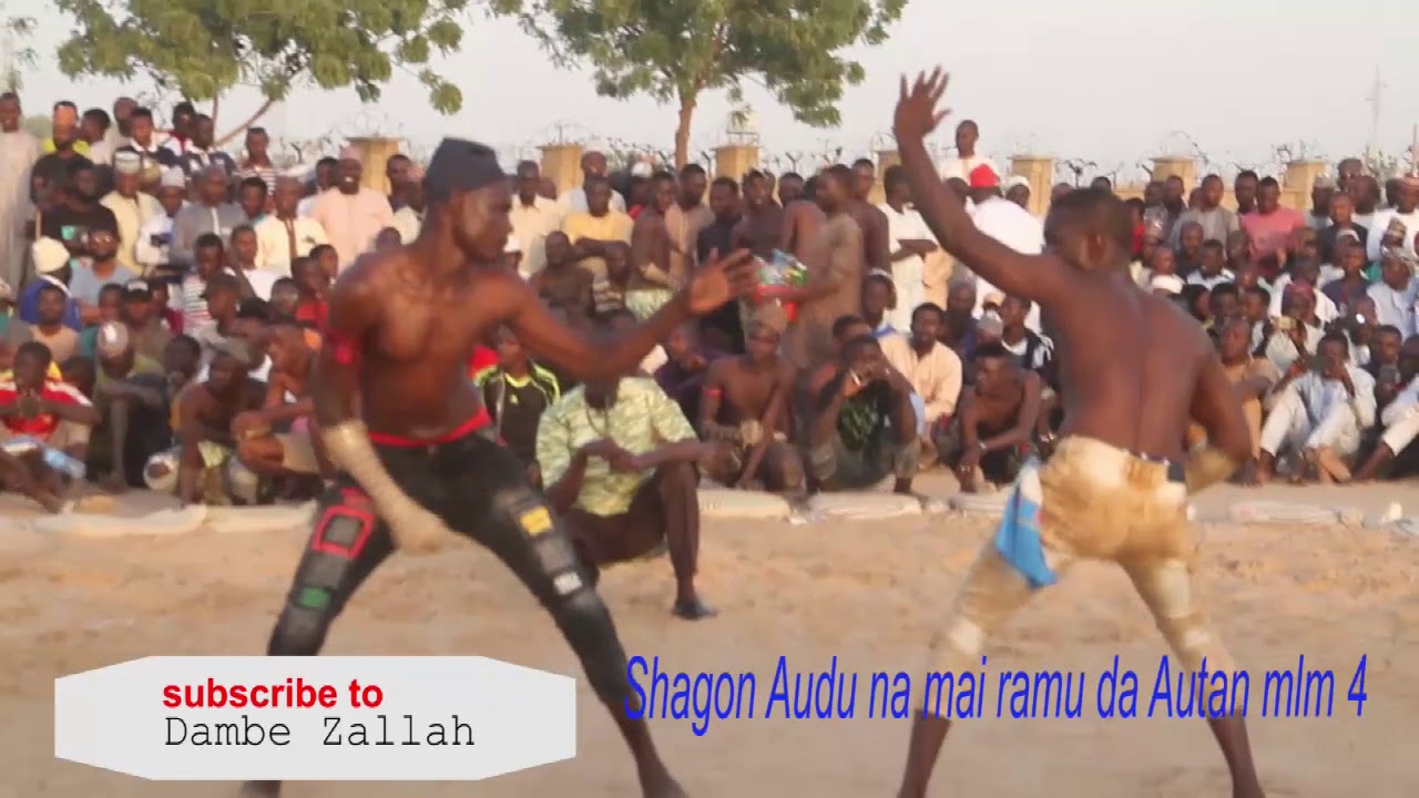 Saura kiris ayi gawar wani tsakanin auta da na mai ramu - YouTube