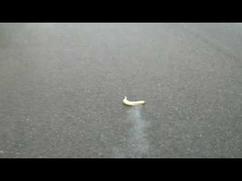 Banana Explosion - YouTube
