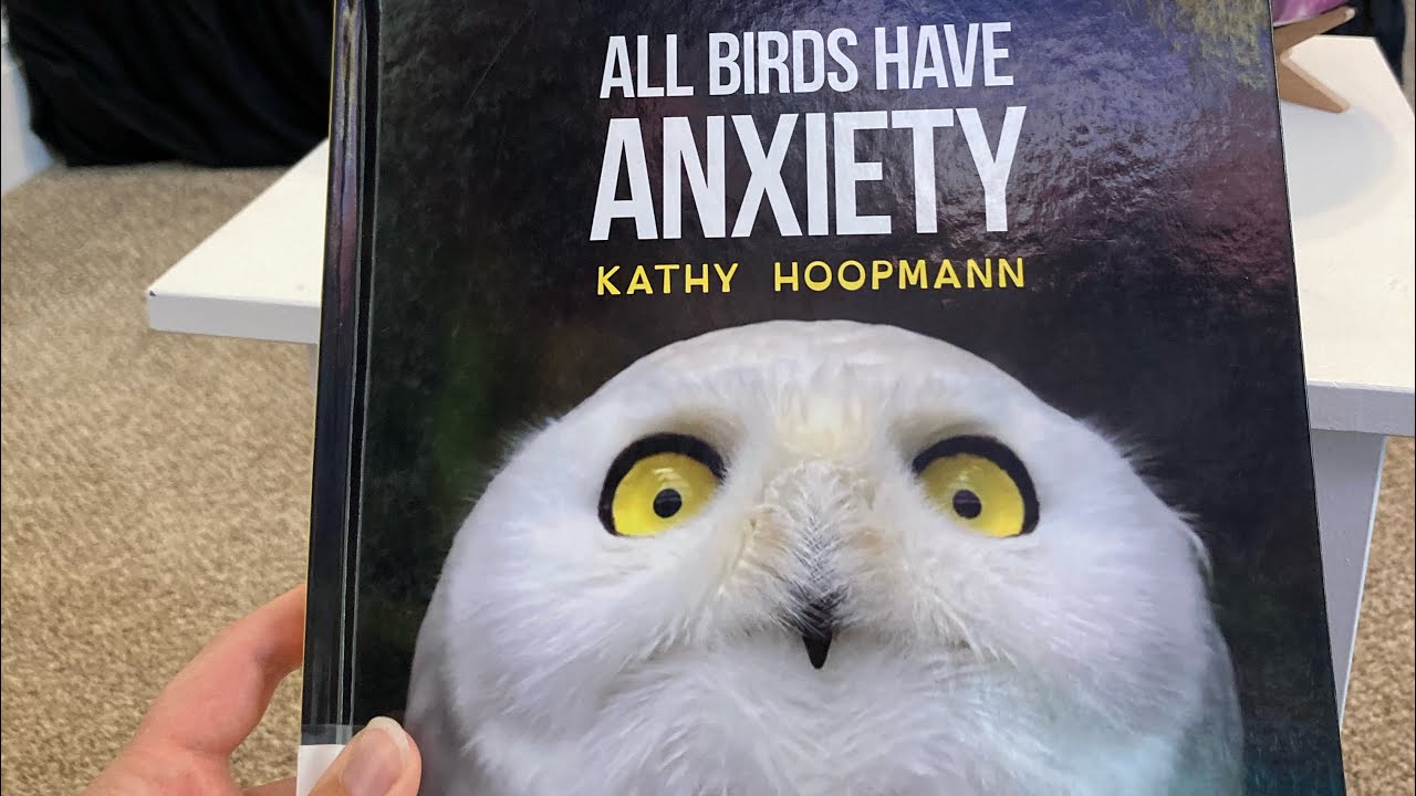 Story Time with California BrainWaves! All Birds Have Anxiety by Kathy ...