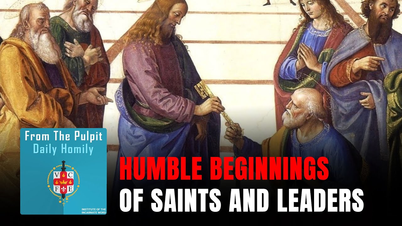 Daily IVE Homilies, October 11, 2025 – Humble Beginnings of Saint and ...