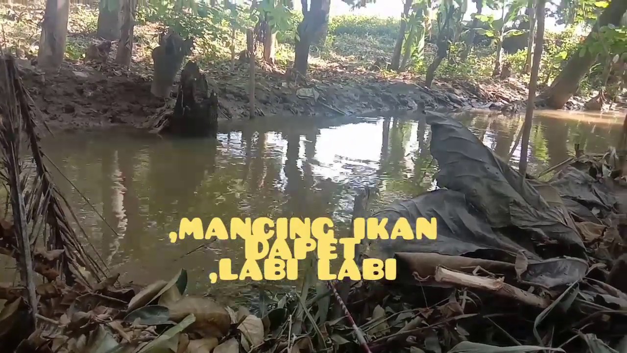 ,mancing ikan dapet labi labi - YouTube