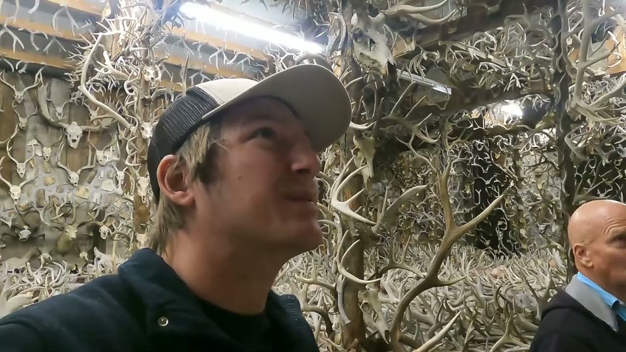 Visiting Montana’s ANTLER MAN (Jim’s House of Horns) 🇺🇸 - YouTube