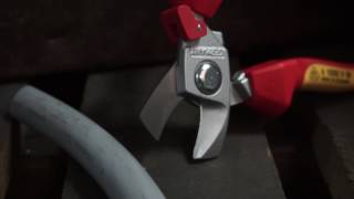 Videos | OrbisWill