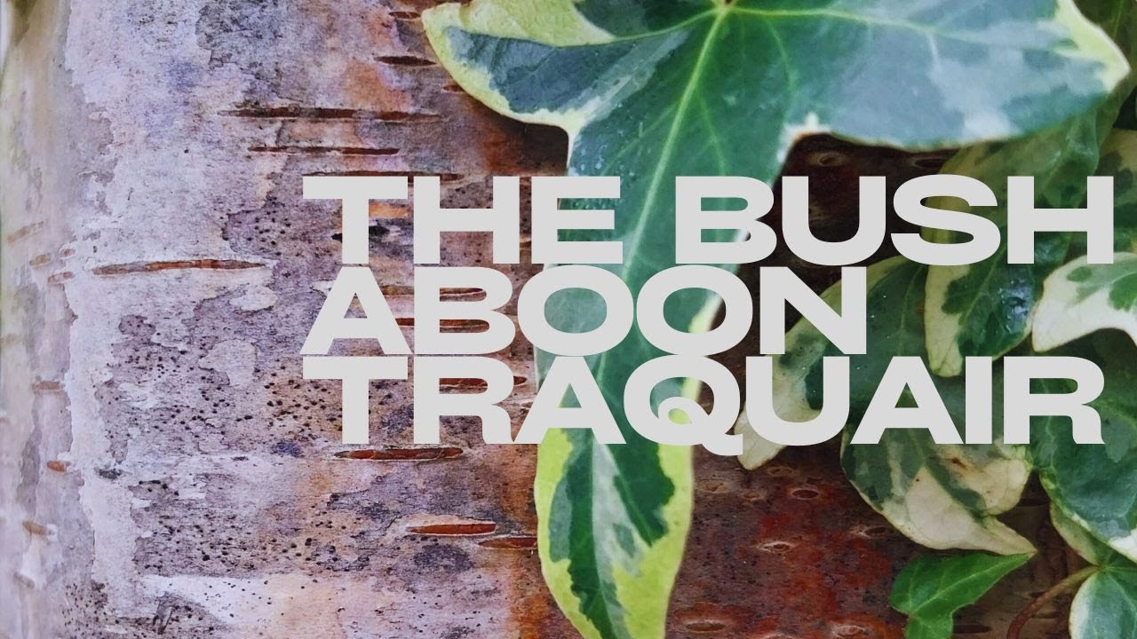 The Bush aboon Traquair - YouTube