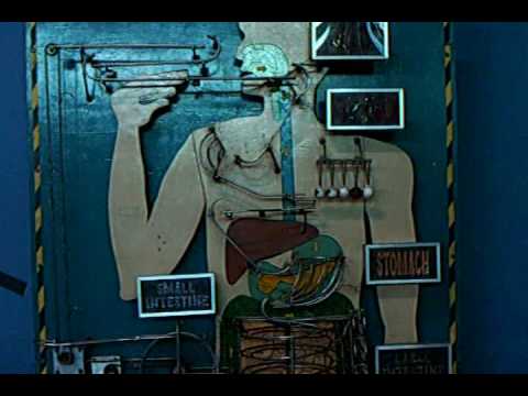 Science Centrum Digestive System Exhibit - YouTube