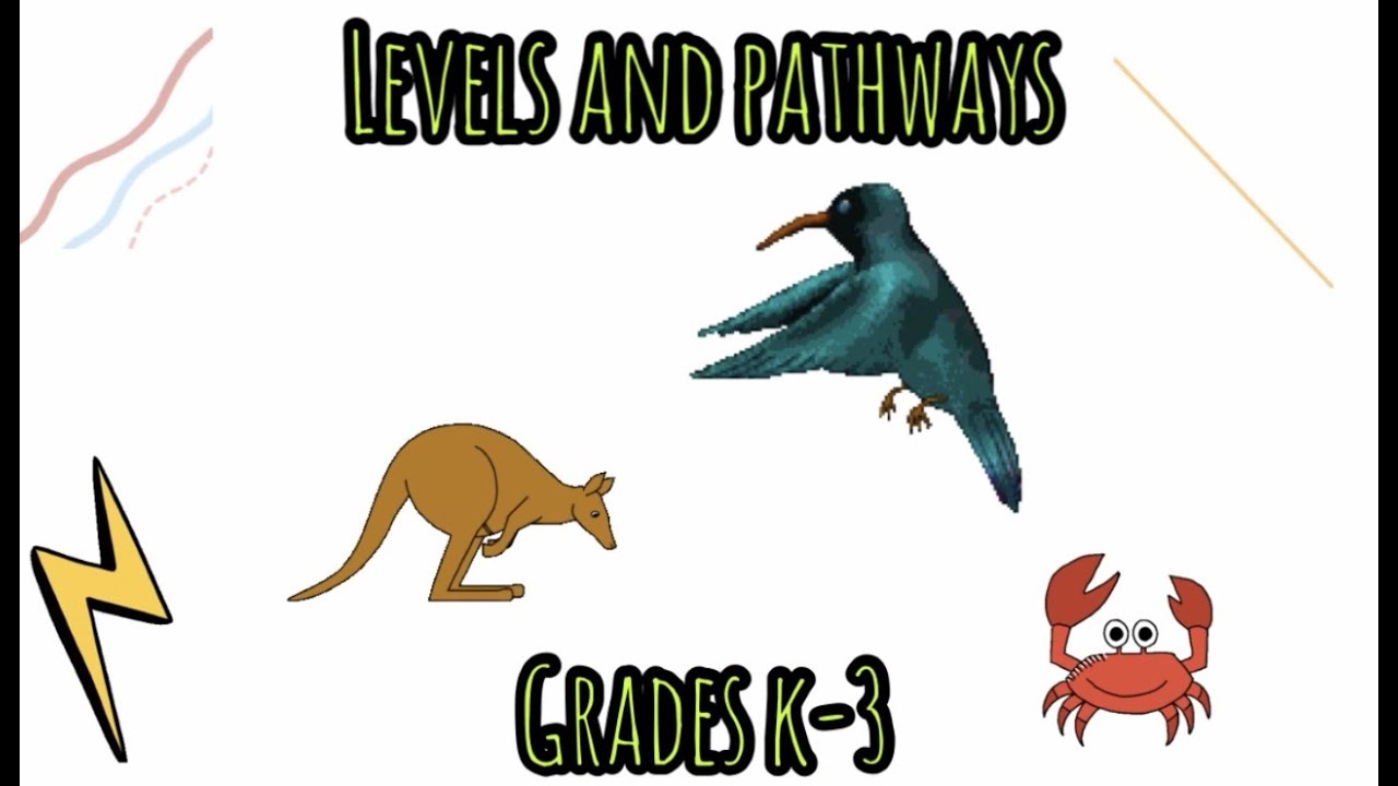 Physical Education: Levels and Pathways - YouTube