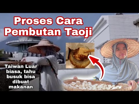 PROSES CARA PEMBUATAN TAOJI (TAHU BUSUK FERMENTASI) DI TAIWAN - YouTube