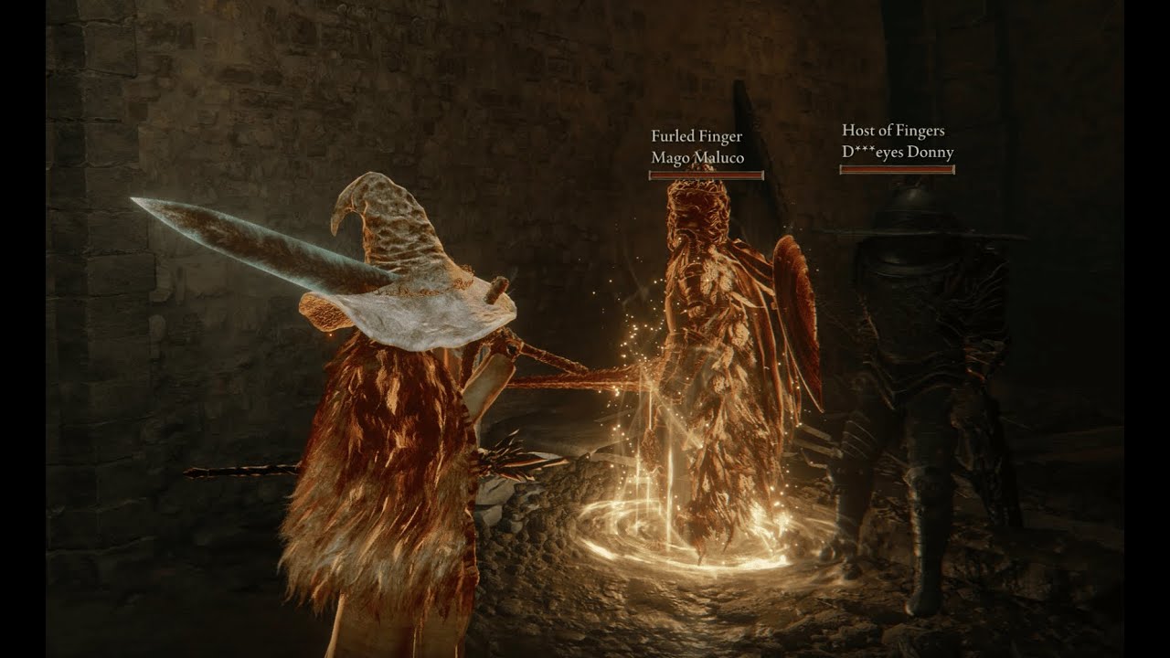 The Average Elden Ring Multiplayer Experience - YouTube