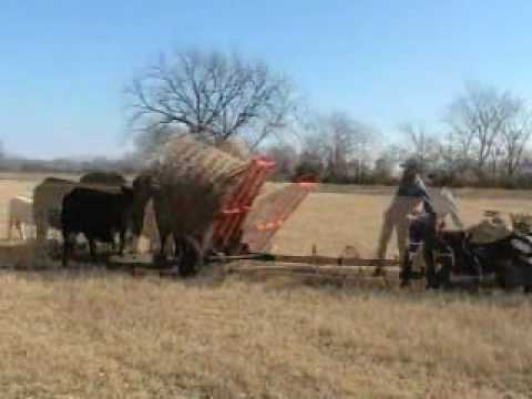 The stick wagon.wmv - YouTube