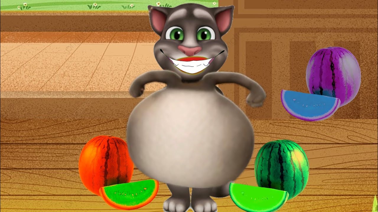 talking tom funny video || talking tom watermelon funny video - YouTube