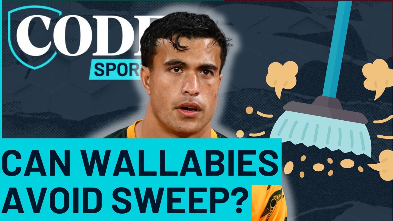 Did Carlo Tizzano flop? | What changes should Wallabies make? | Lions ...