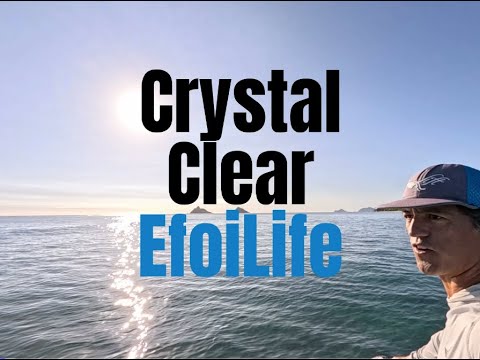 Crystal Clear EfoiLife - YouTube