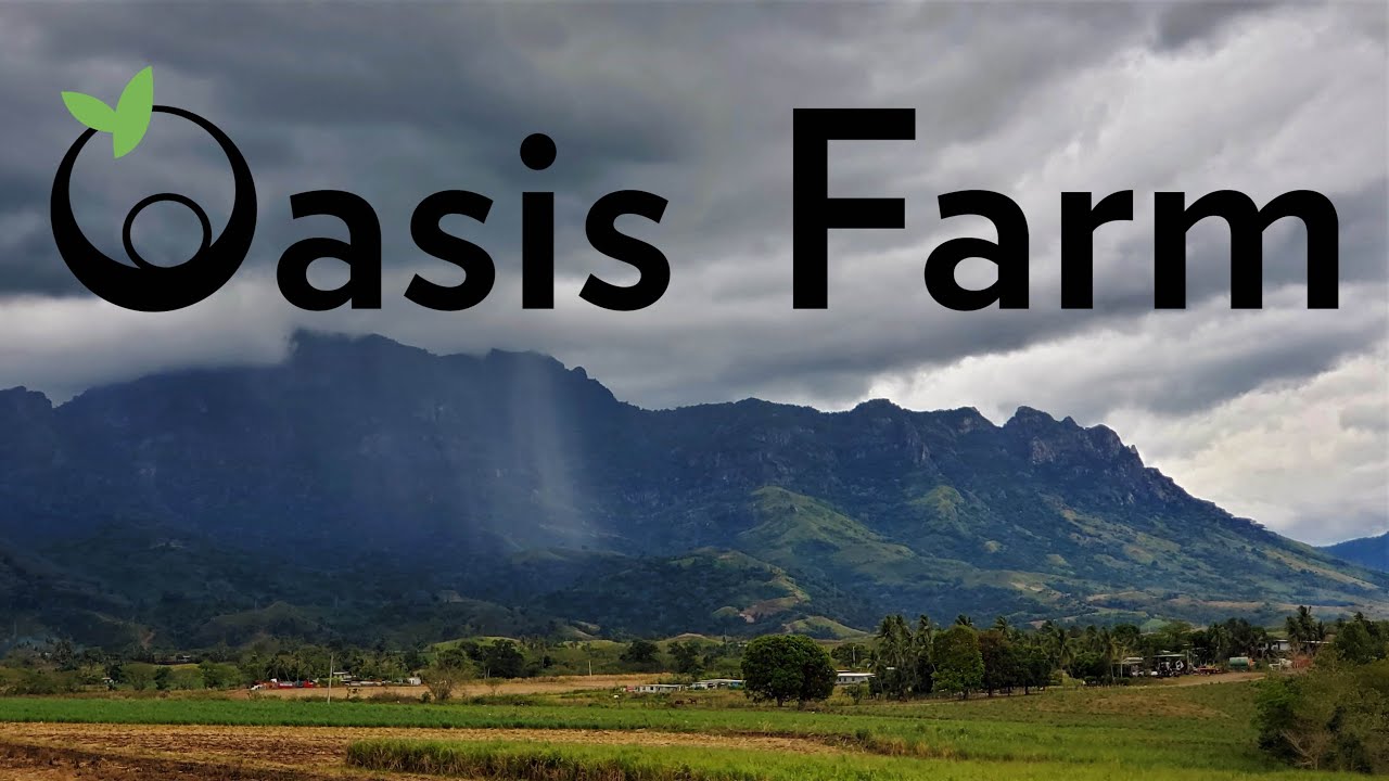 Oasis Farm - YouTube