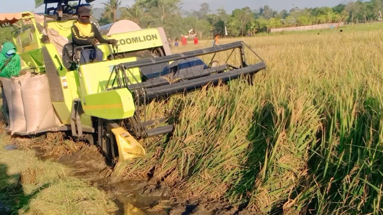 Mesin Panen Padi Combine - YouTube