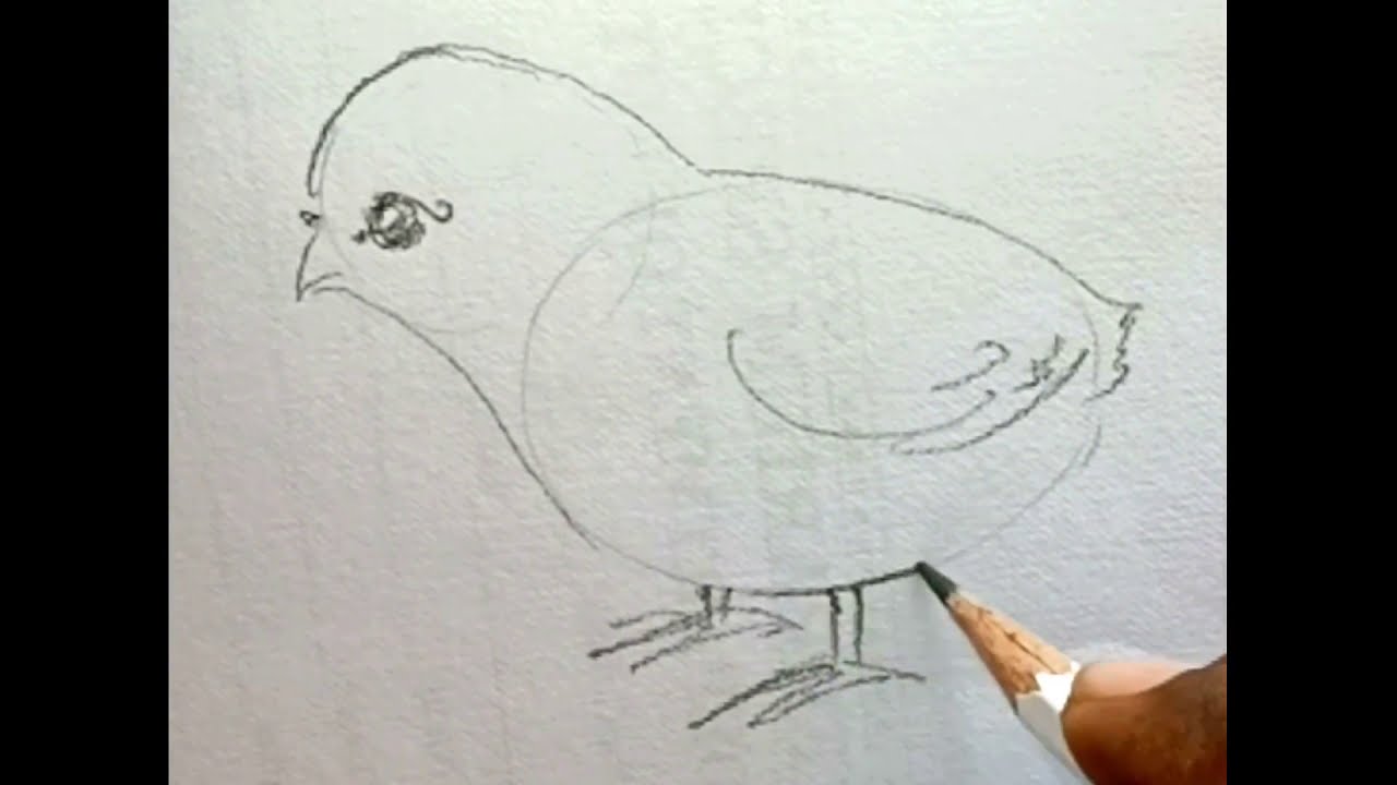 Draw/sketch a little chick easily with pencil I Pencil sketch/Drawing ...