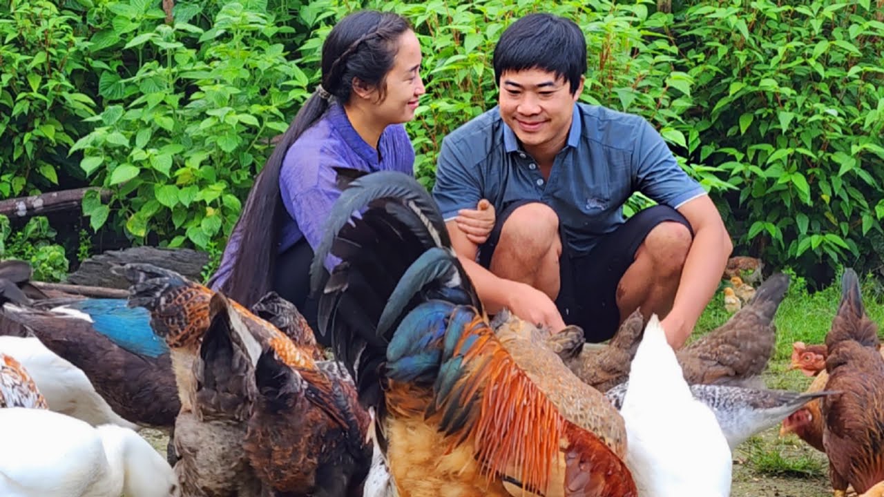 FULL VIDEO: 30 days living with an honest guy. make money, go to the ...