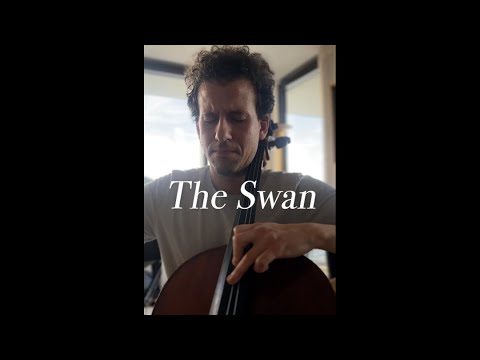 The Swan - an impromptu performance by Nicholas Canellakis - YouTube