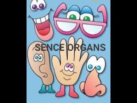 POEM ON SENSE ORGANS - YouTube