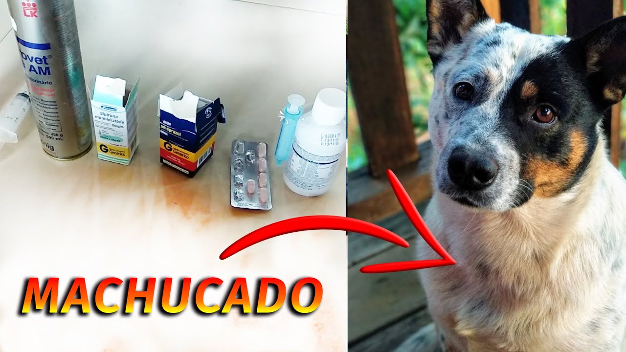 Machucado, como tratar. Não deixe infeccionar! - YouTube