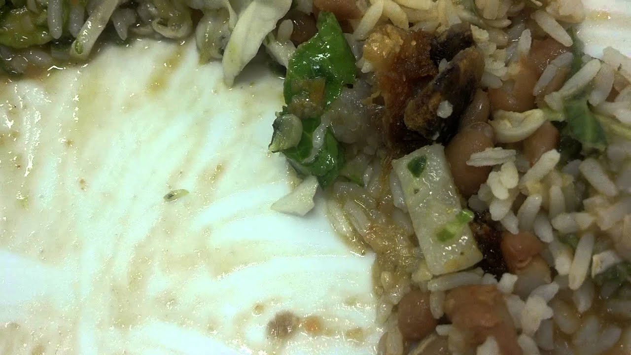 Larva na comida R.U UTFPR-CP - YouTube
