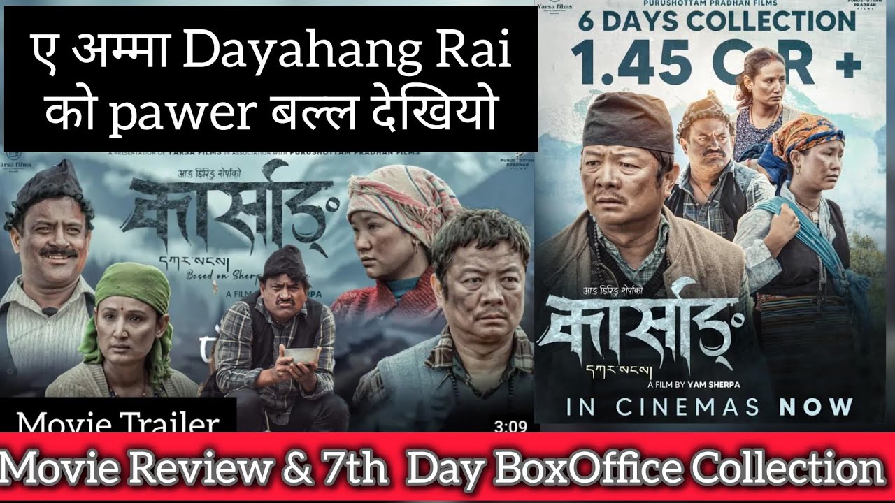 Karsang Movie 7th Day BoxOffice Collection ll New Nepali Movie 2025 ll Dayahang Rai ll Jitu ...