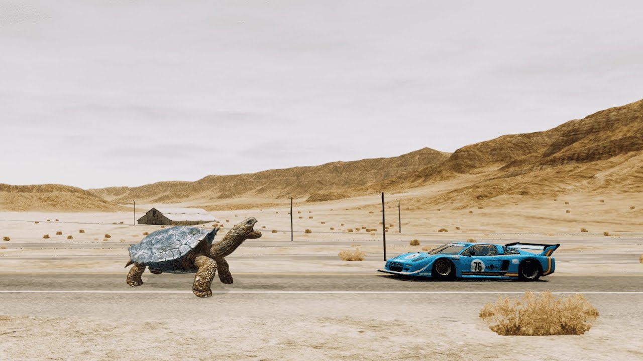 Cars vs Giant Turtle – BeamNG.Drive | Animals vs Cars funny video - YouTube