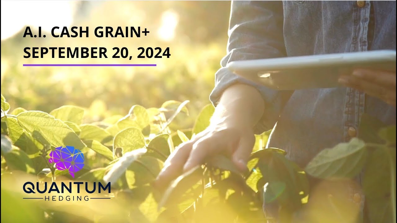 A.I. Cash Grain+ Video Podcast September 20, 2024 - YouTube