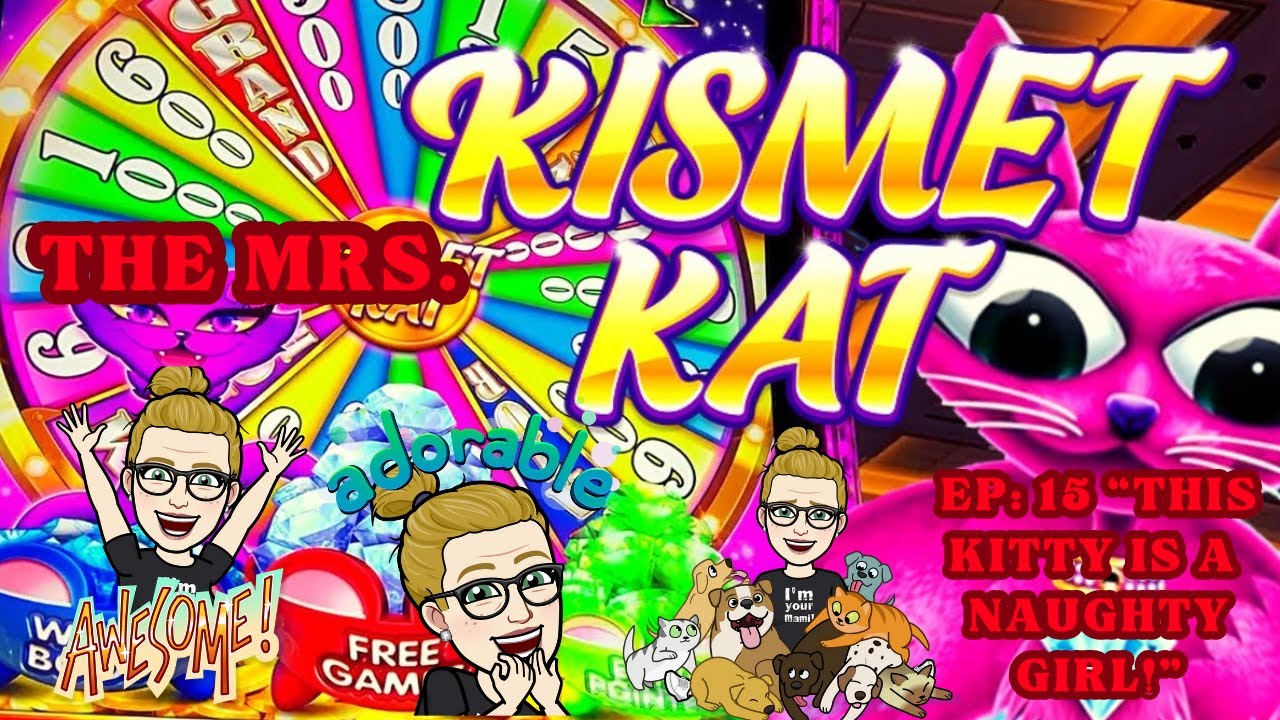 The Mrs. Awesome, Adorable Animals Ep: 15 "Kismet Kat: This Kitty is a ...