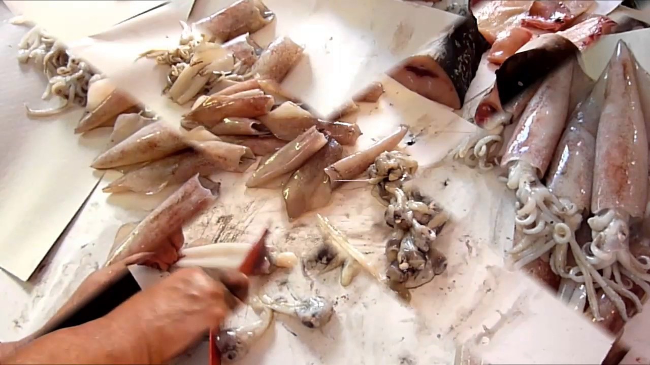 How to clean a squid - YouTube