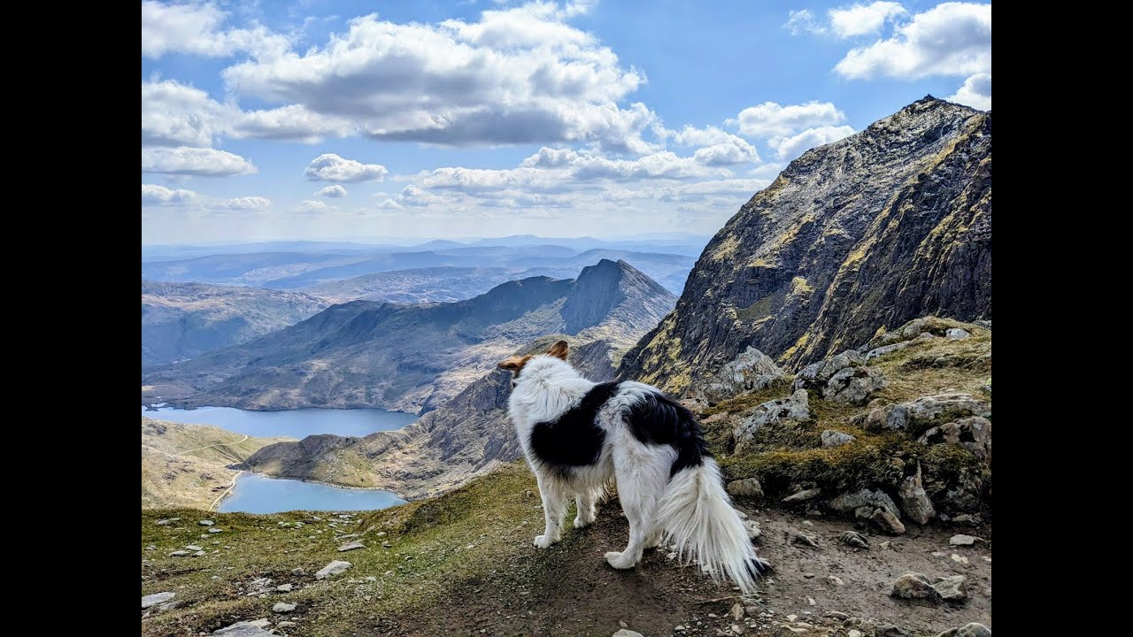 One bearded man and his dog - Snowdon - YouTube