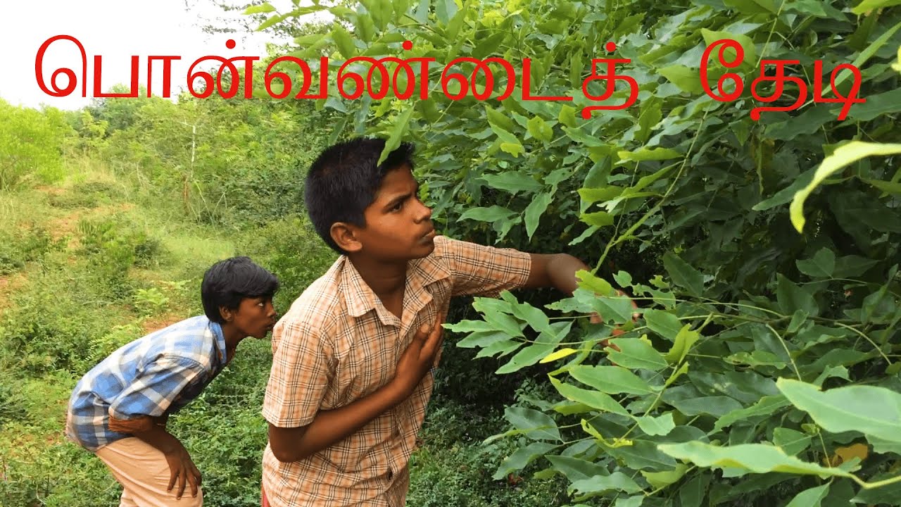 PONVANDU ORU PARVAI/PONVANDAI THEDI/PONVANDU ORU PAYANAM/JEWEL BEETLE ...