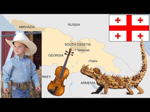 Devil Went Down to Georgia but Johnny's Crap at Playing the Fiddle ...