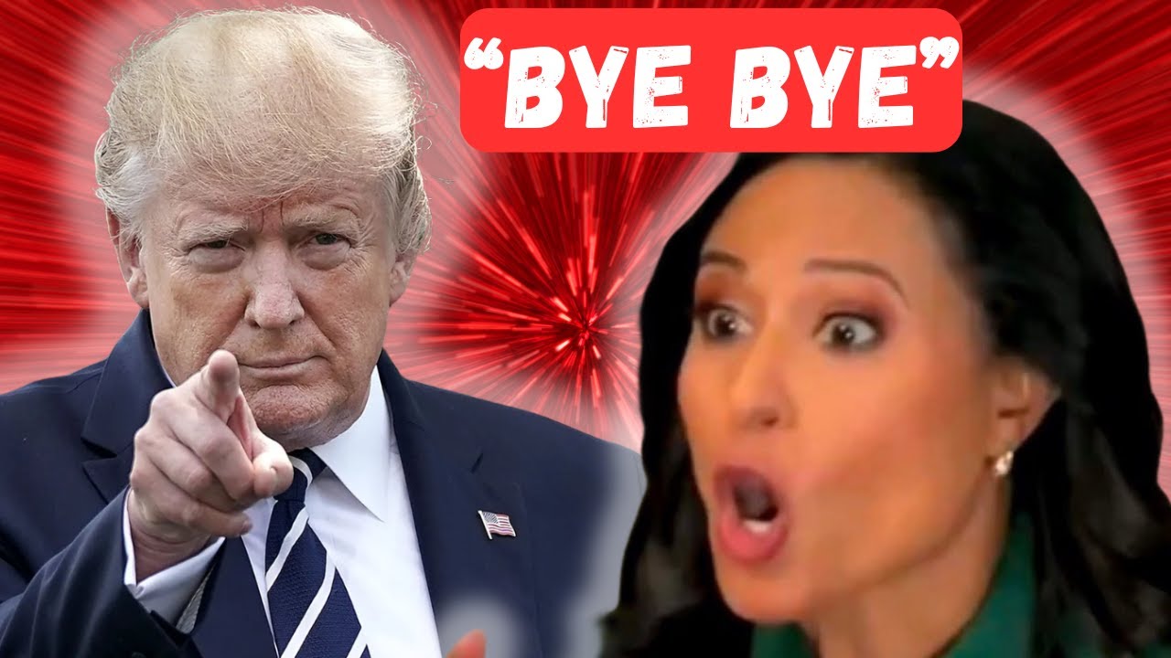 "SEND THEM ALL BACK" Trump reveals key details in new NBC interview ...