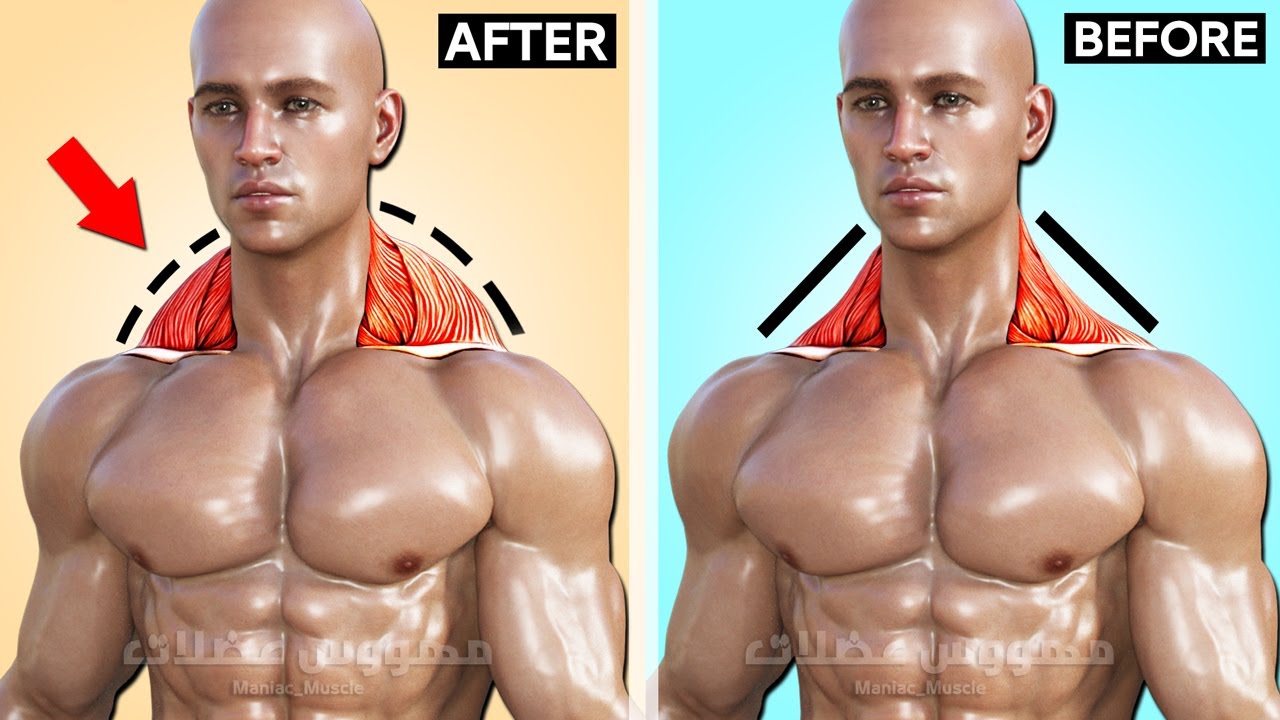 9 Best Exercise Traps Workout π₯ Youtube