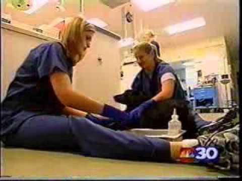 Dr. Gerald Post on WVIT 30 - Cancer Treatment in Pets - YouTube