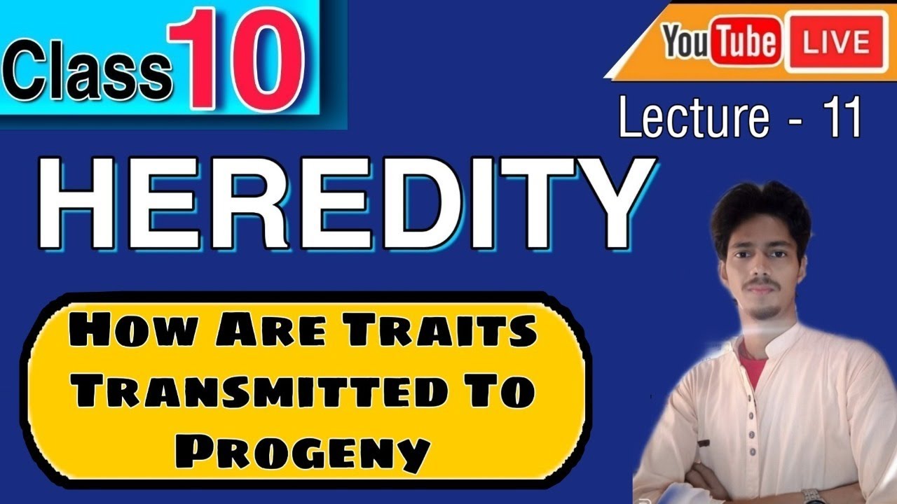 How Are Traits Transmitted To Progeny | Part - 11 | Class 10 | Heredity ...