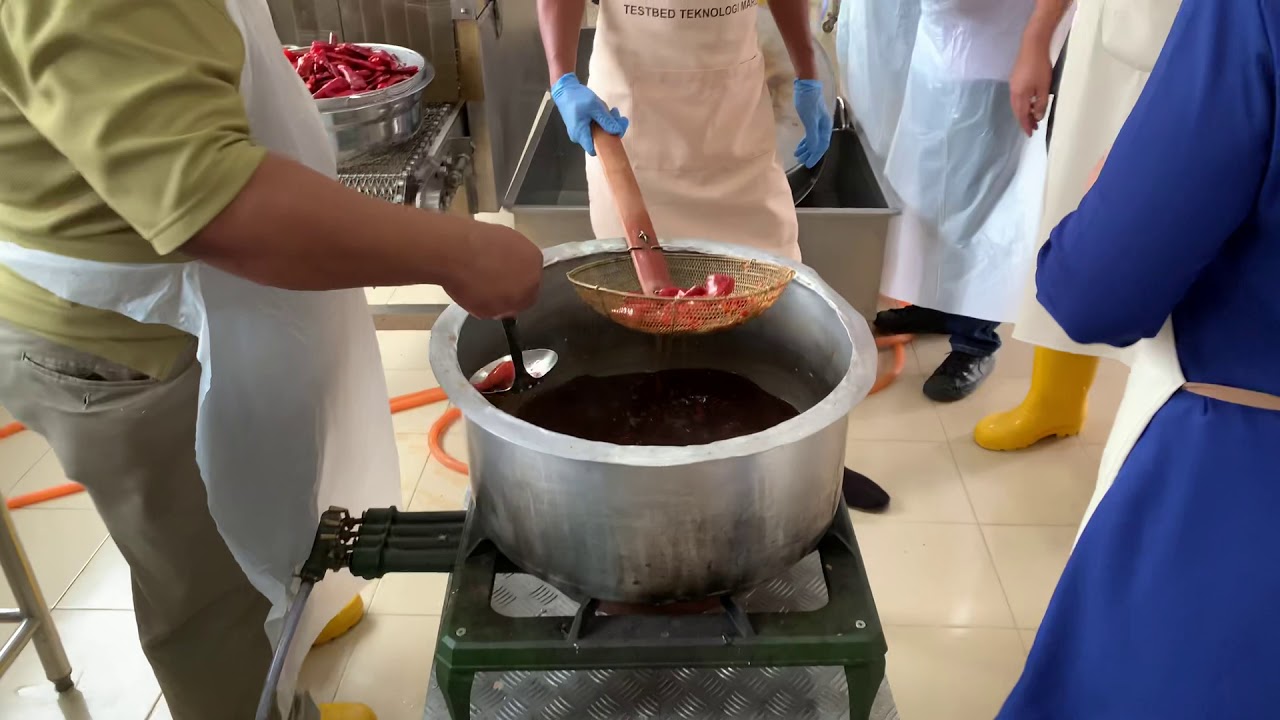 Proses menyelur cili - YouTube