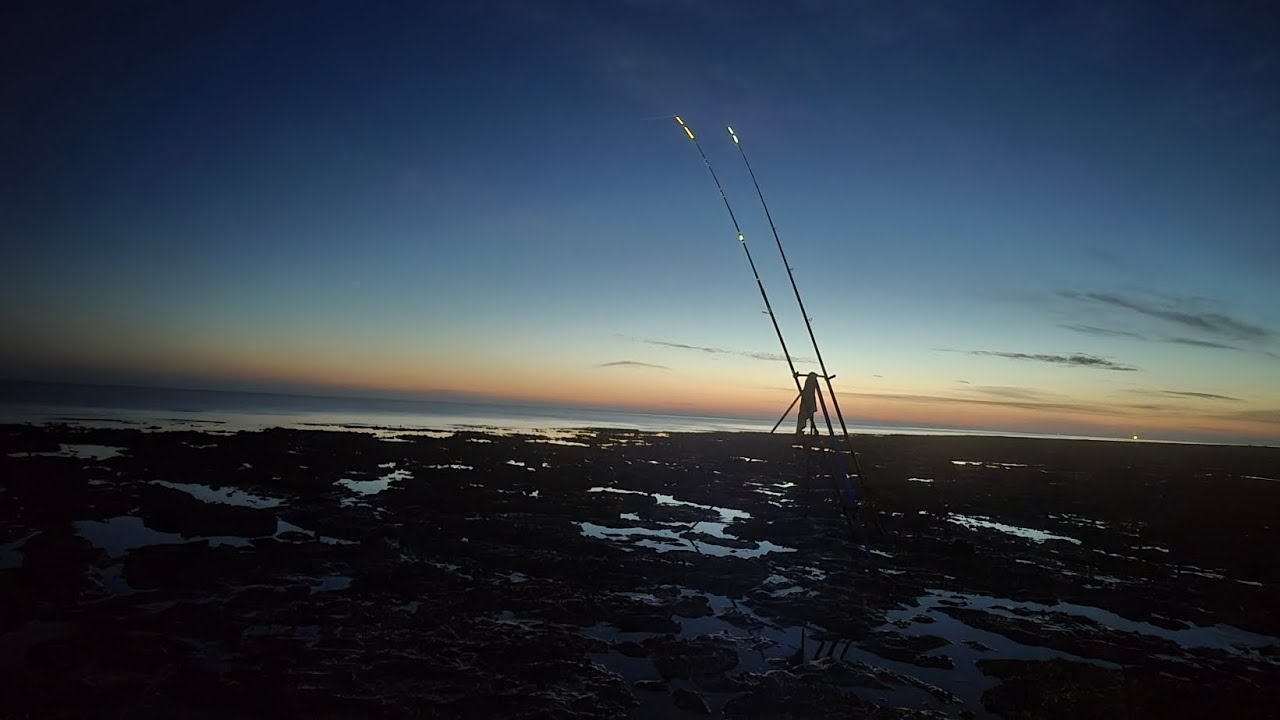 Smooth Hound fishing on the North Kent coast using live hardback crabs ...