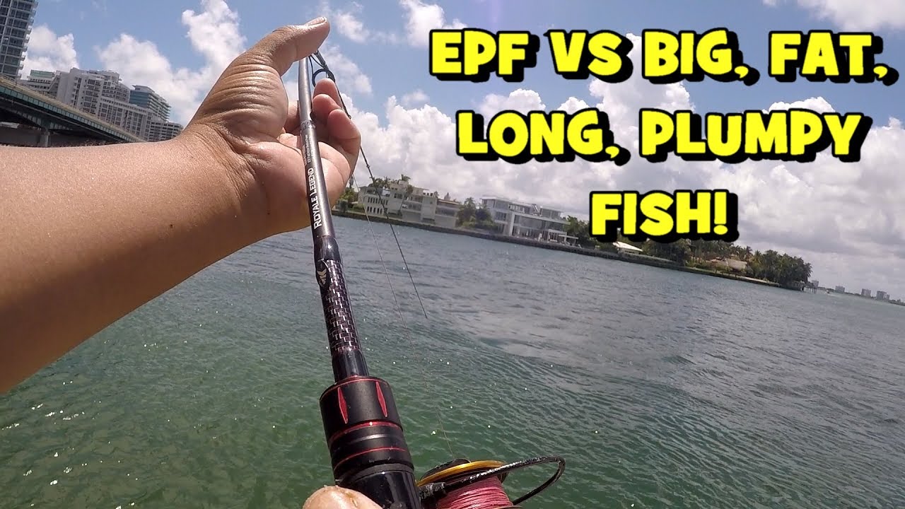 I Hooked a BIG, FAT, LONG, & PLUMPY FISH!!! (UNEXPECTED) (2019 Miami ...
