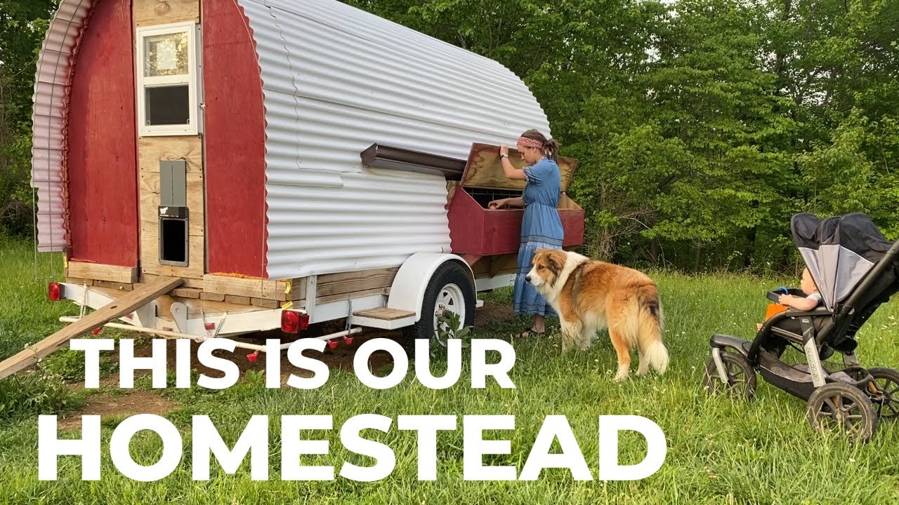 "Living the Homestead Life: Prioritizing Sustainability and Family ...